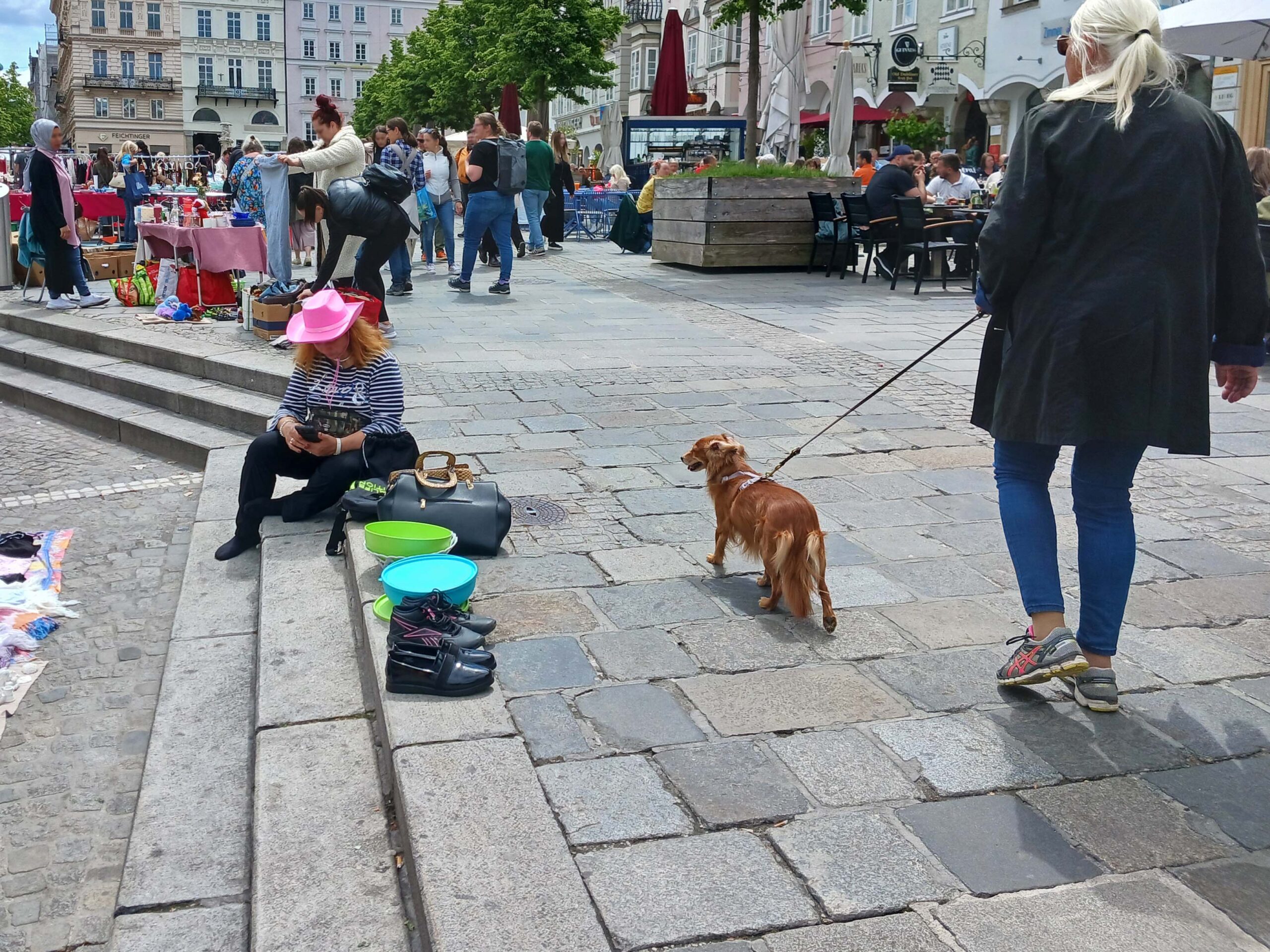 2025年春の交換留学レポート②「訪問者」としてのリンツ留学体験記 | 情報科学芸術大学院大学 [IAMAS]