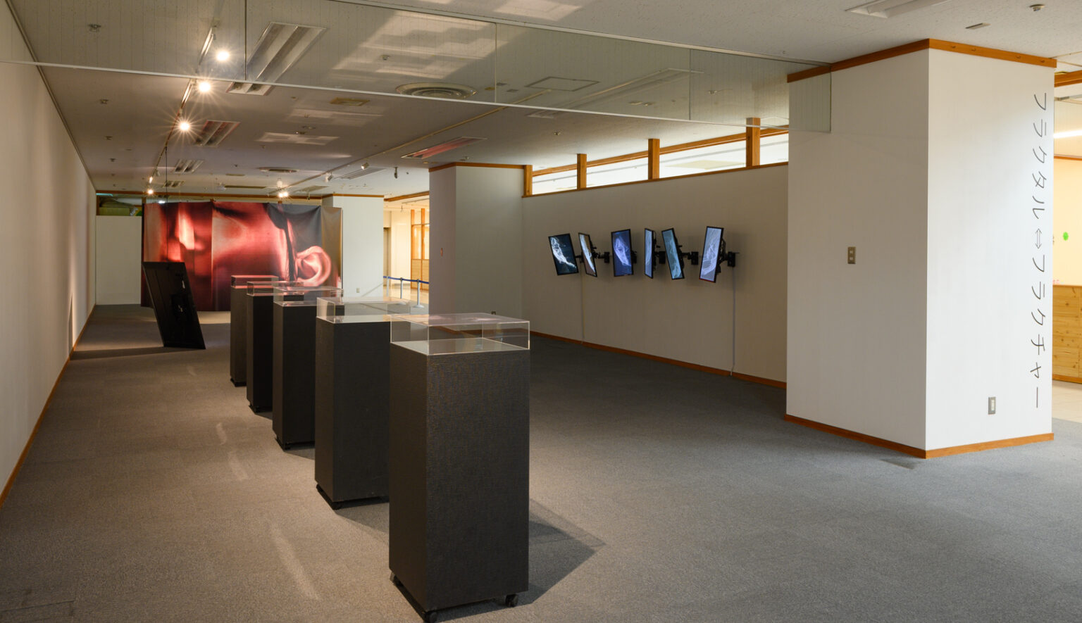 学生インタビュー：大越円香さん（博士前期課程2年） | 情報科学芸術大学院大学 [IAMAS]